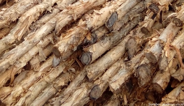 Mengenal Keunggulan Kayu Dolken dalam Industri Konstruksi - Jual Kayu ...